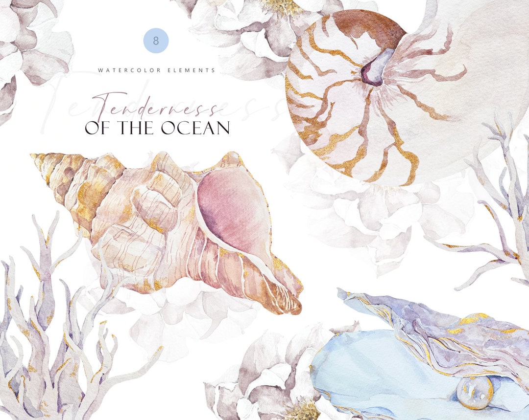 Watercolor Boho, Seashell, Sea Clipart, Nautical, Coral Reef, Seashell ...