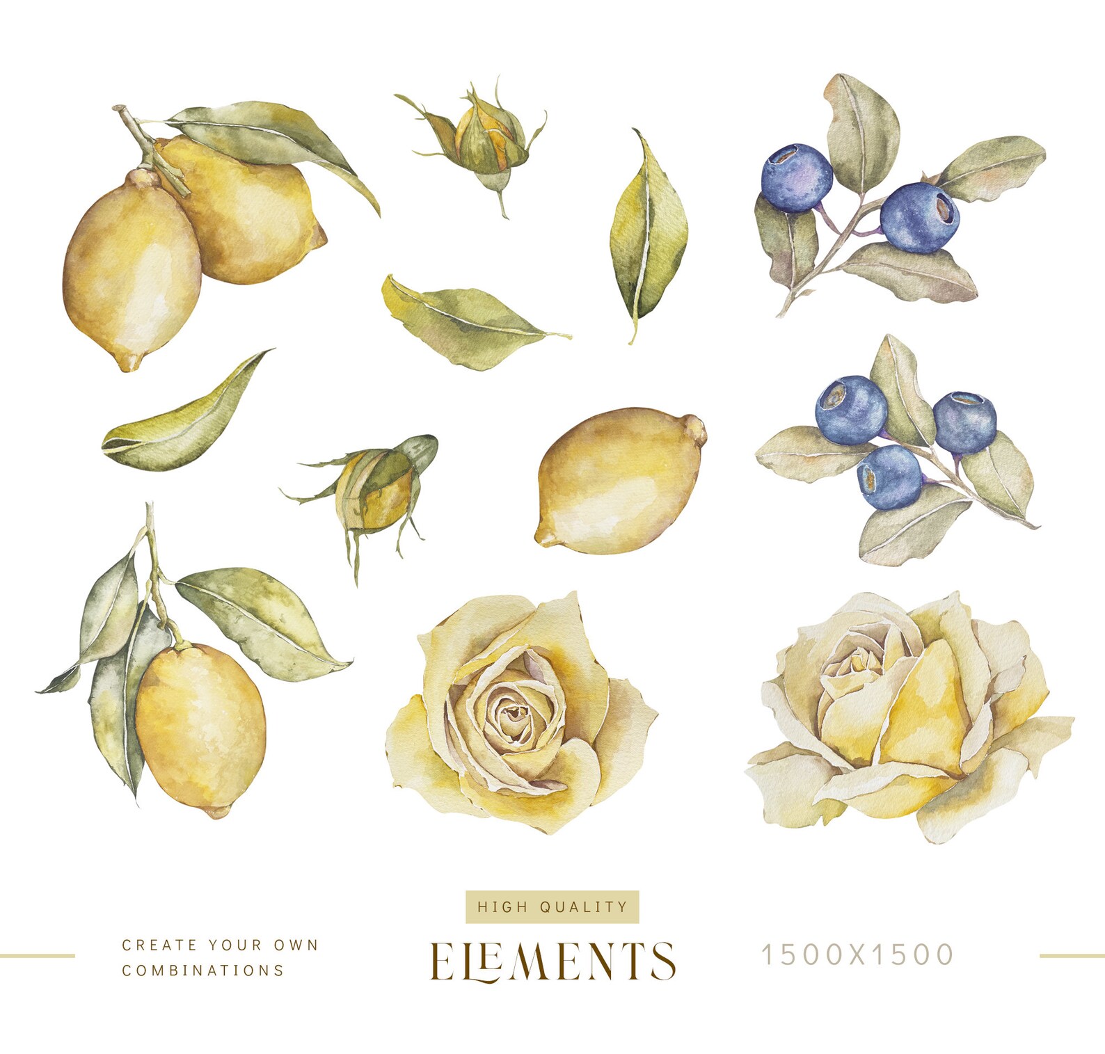 Watercolor Lemon Png Clipart, Citrus Png, Bridal Shower, Floral Bouquet ...