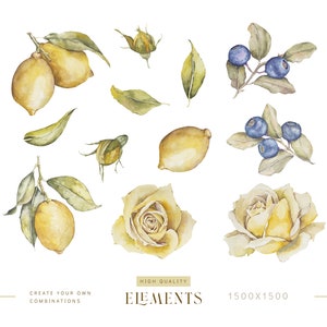 Watercolor Lemon Png Clipart, Citrus Png, Bridal Shower, Floral Bouquet ...