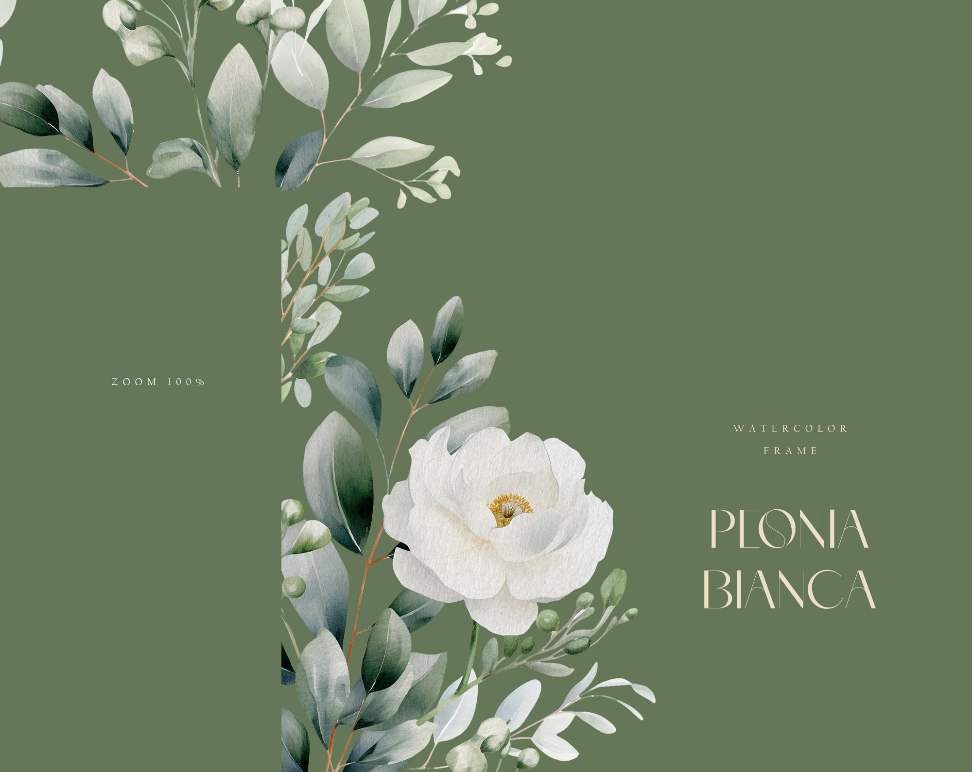 Watercolor White Peonies Clipart, Wedding White Flowers, Peonies Frame ...