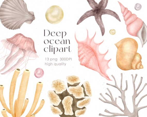 Watercolor Beach Clipart Summer Clipart Coral Reef Clip Art | Etsy