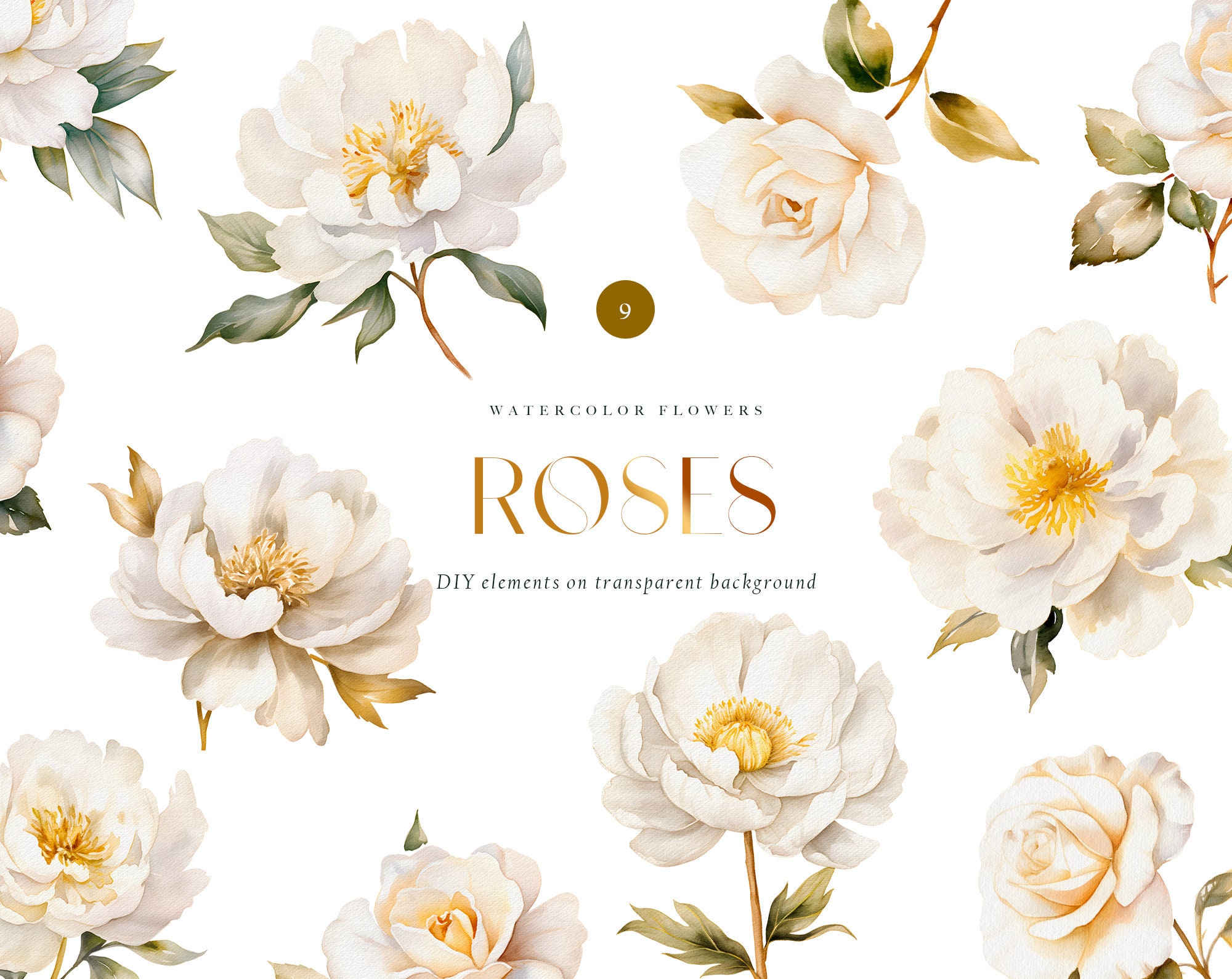 Watercolor White Peonies and Roses Png, DIY Watercolor Set, White ...