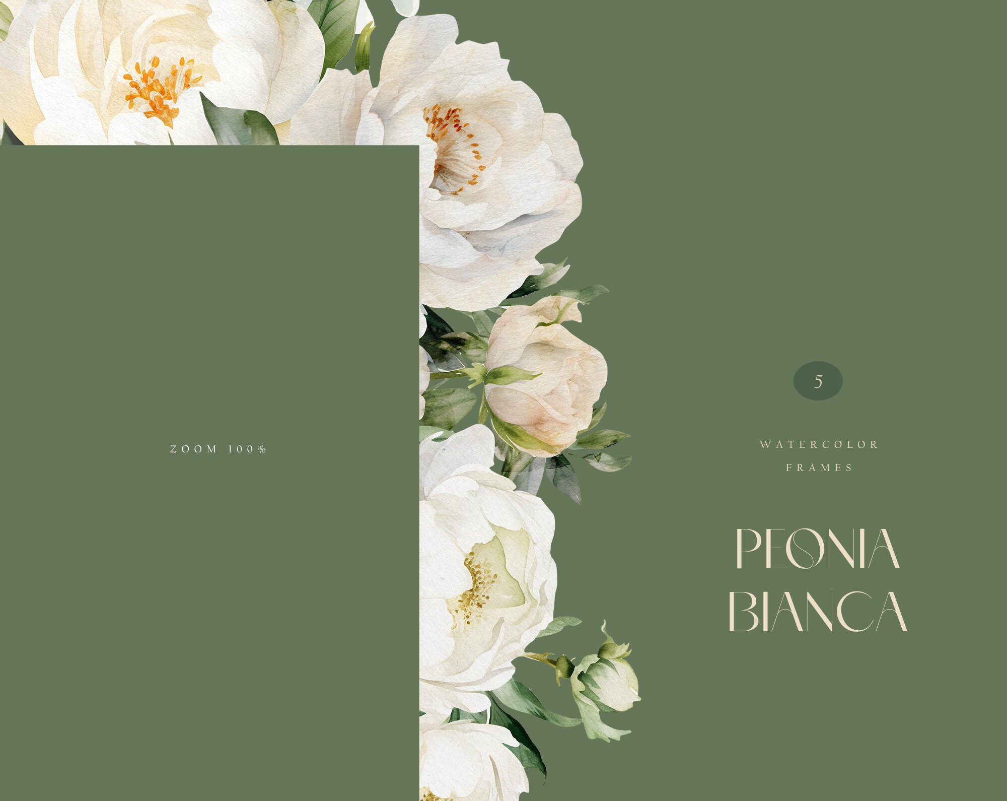 Watercolor White Peonies Clipart, Wedding White Flowers, Peonies Frame ...