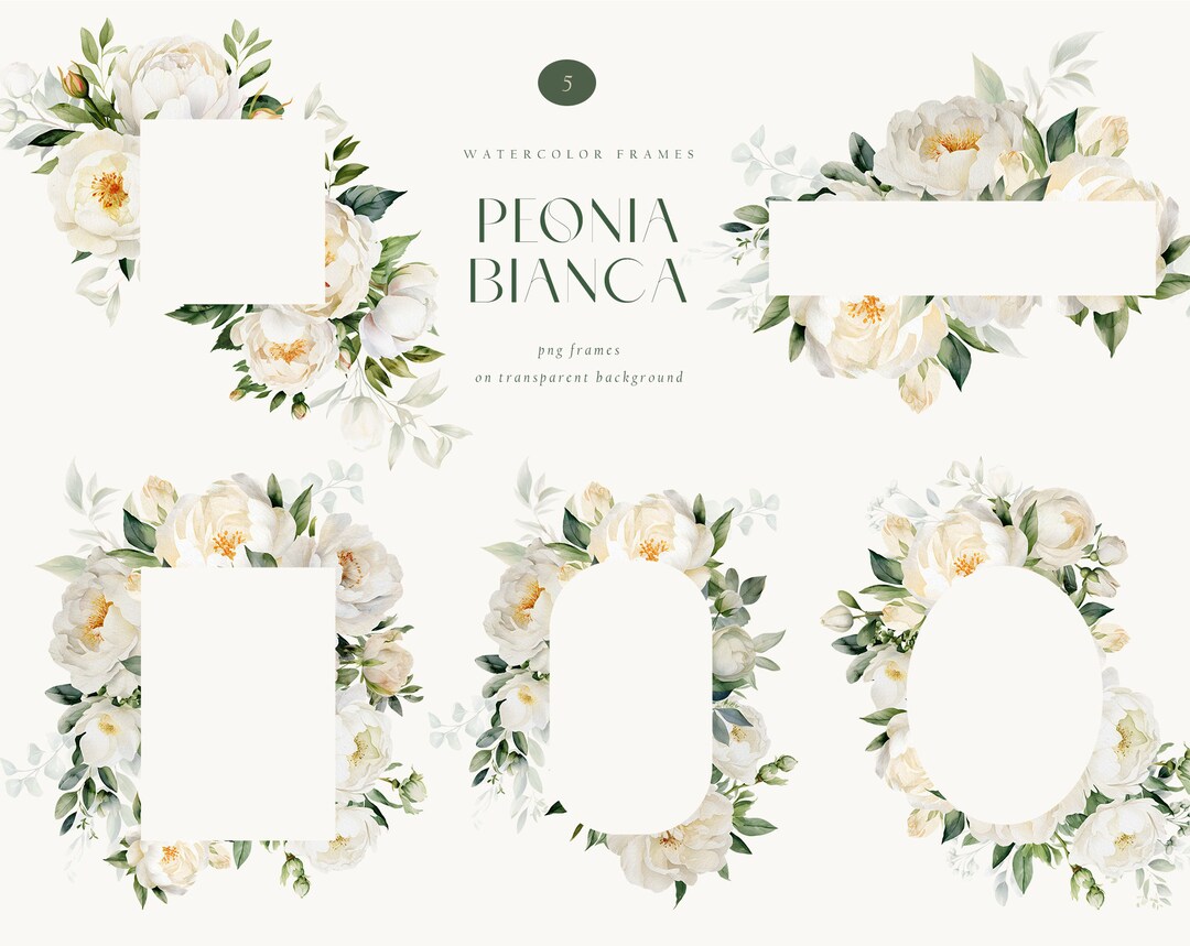 Watercolor White Peonies Clipart, Wedding White Flowers, Peonies Frame ...