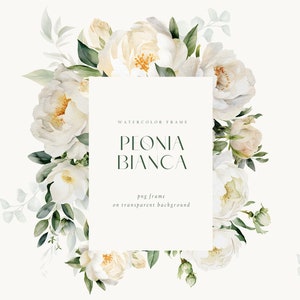 Watercolor White Peonies Clipart, Wedding White Flowers, Peonies Frame ...