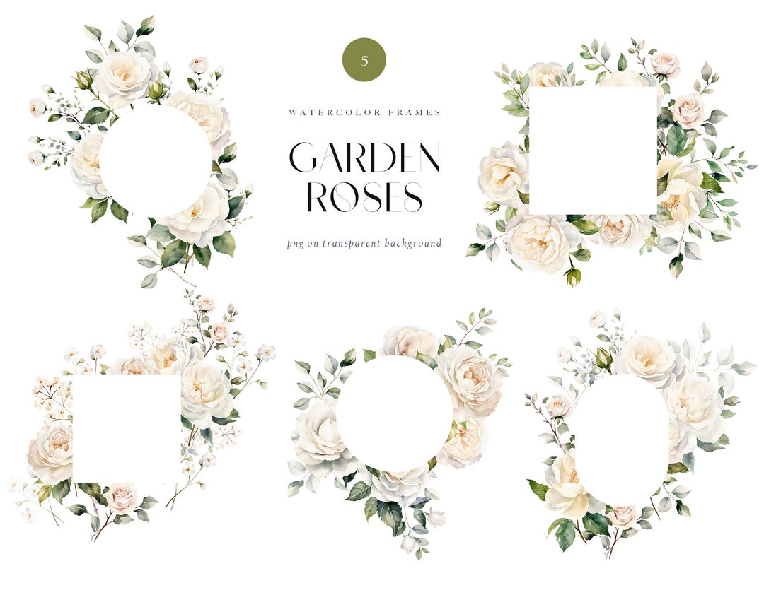 Watercolor White Peonies Frame, Wedding White Flower Frame Png, White ...