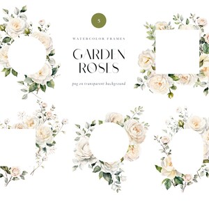 Watercolor White Peonies Frame, Wedding White Flower Frame Png, White ...