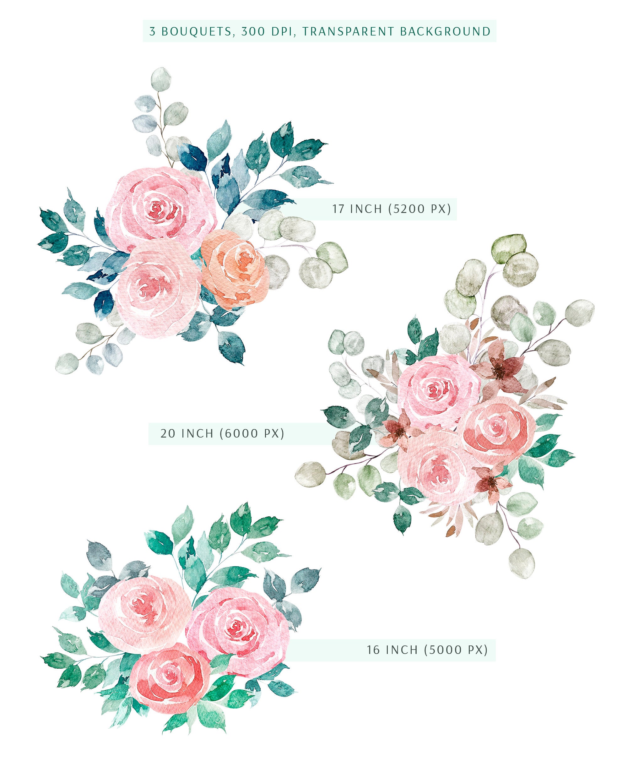 Watercolor Spring Summer Rose Clipart Boho Floral Frame - Etsy