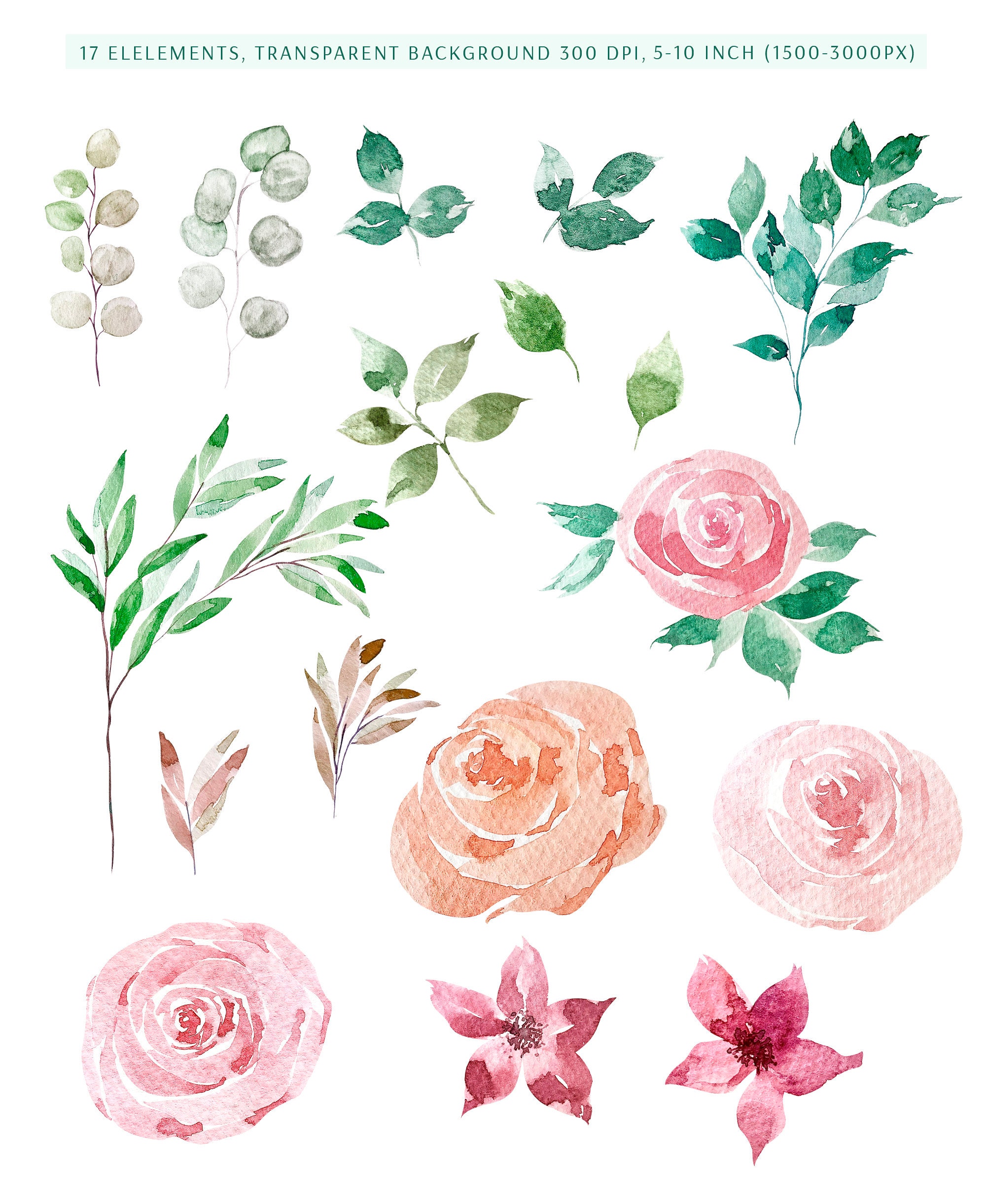 Watercolor Spring Summer Rose Clipart Boho Floral Frame - Etsy