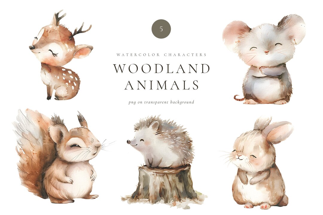 Watercolor Woodland Baby Animals Clipart, Woodland Baby Shower, First ...