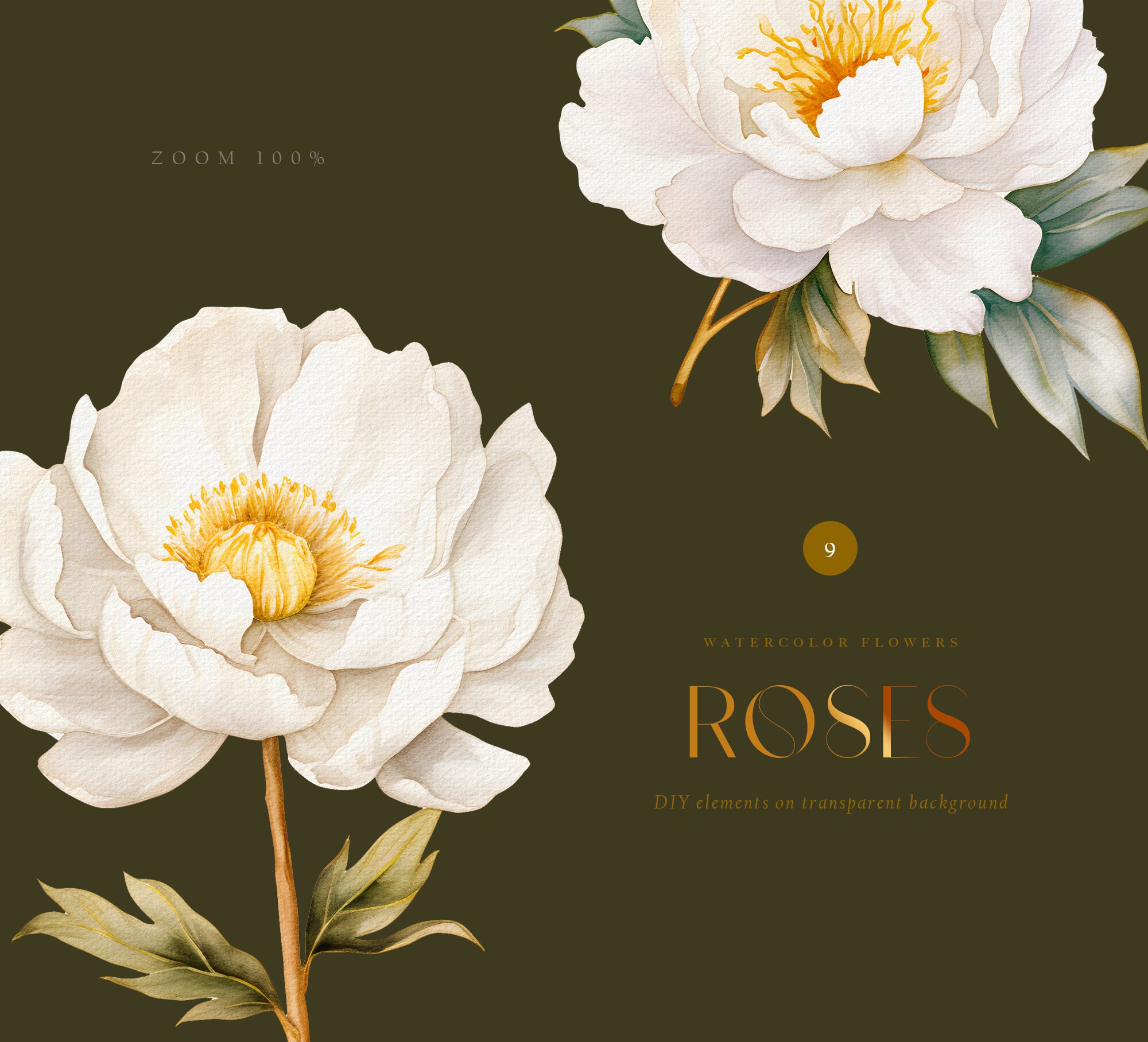 Watercolor White Peonies and Roses Png, DIY Watercolor Set, White ...
