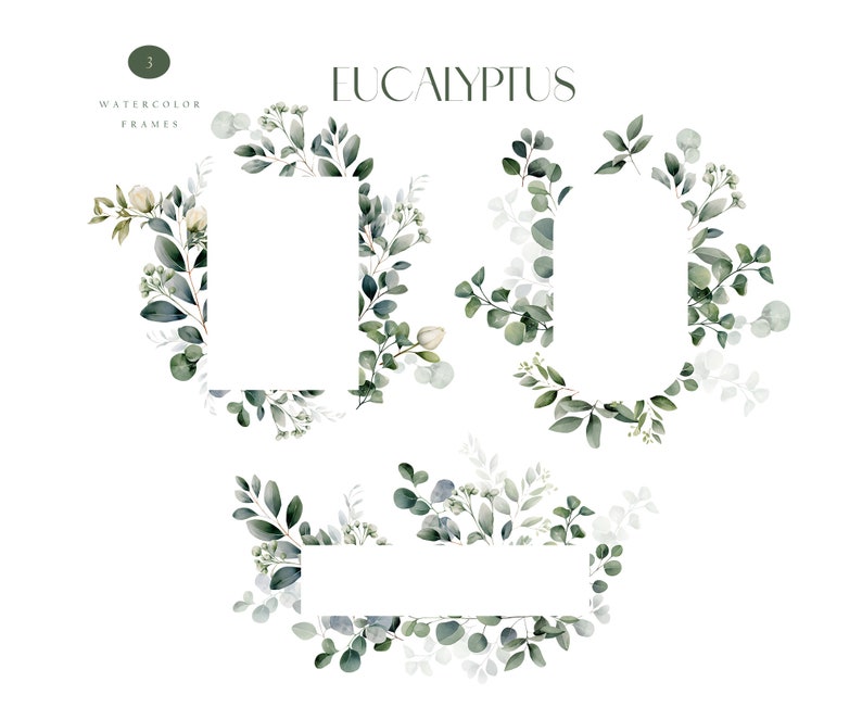 Watercolor Eucalyptus Clipart, Greenery Clipart, Eucalyptus Frame ...