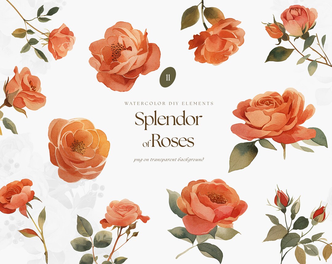 Watercolor Red Rose Clipart, Red Roses Png, DIY Watercolor Set, Red ...