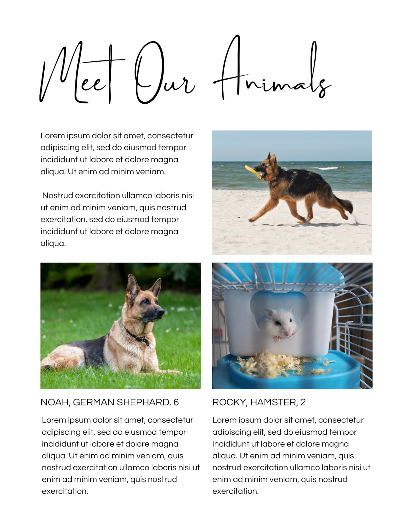 Adoption Profile Template, Modern Adoption Profile Book, Digital ...