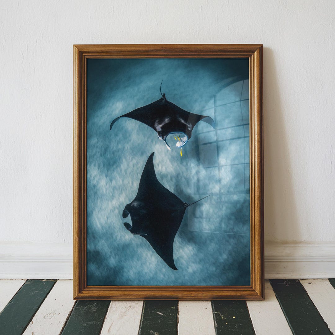 Two Manta Rays in the Ocean Print, Ocean Lover Wall Art, Beach House ...