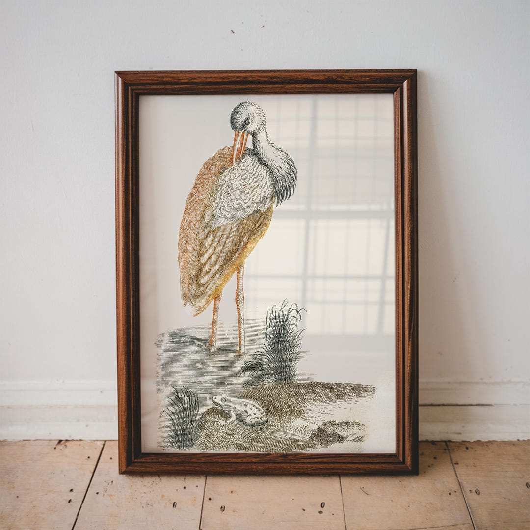 Stork and Frog by the Water, Bird Poster, Antique Animal Painting ...
