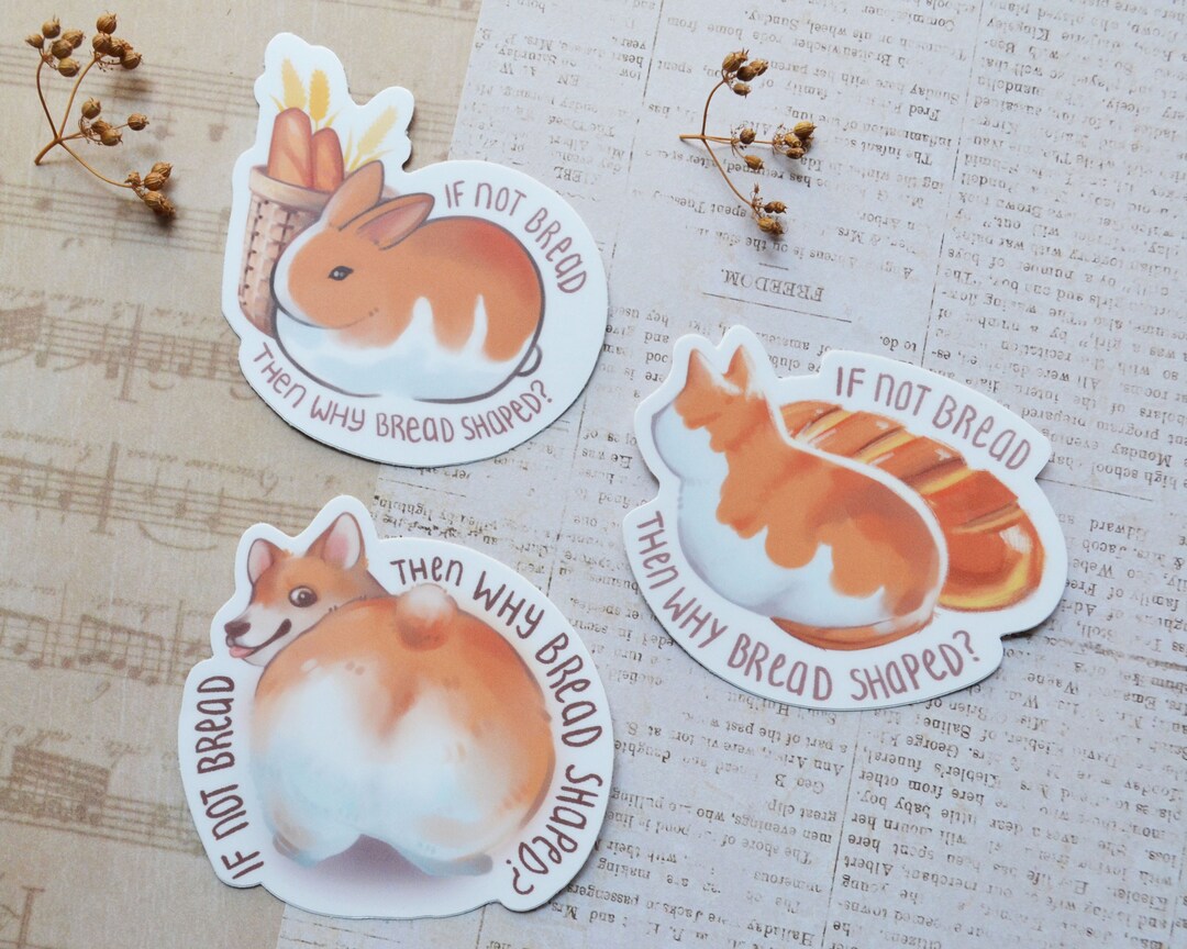 2am Questions for Darwin Stickers | Gift for Foodies, Cat Parents, Dog ...