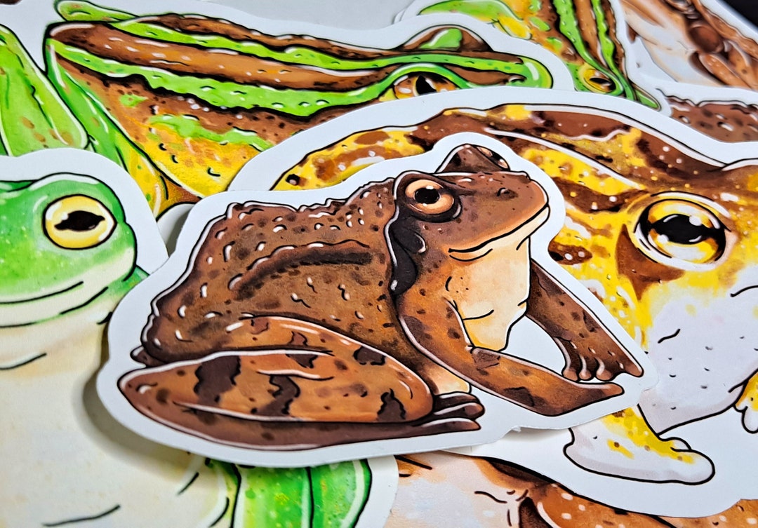 Frog Sticker Pack Froggie Sticker Set Cute Frog Animal Wildlife Nature ...
