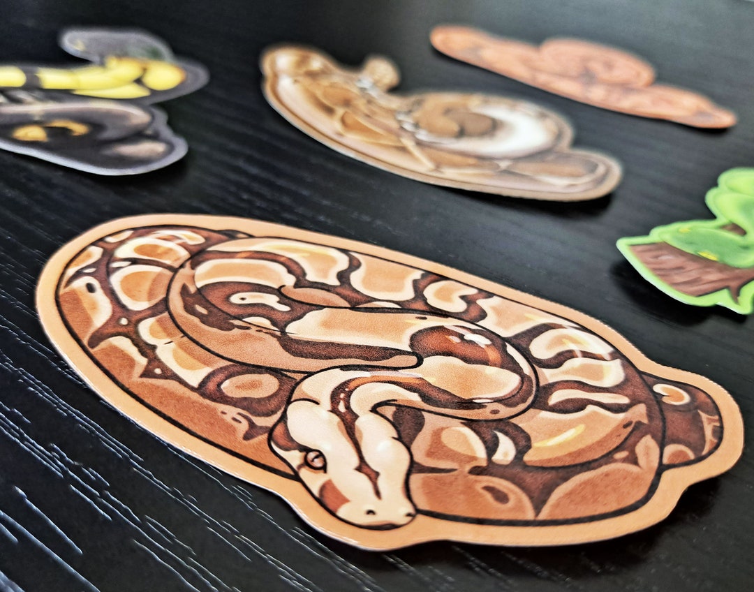 Danger Noodles Sticker Set Snakes Bundle Venomous Wildlife Planner ...