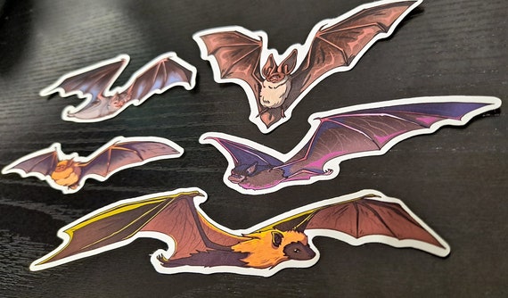 Cute Spooky Halloween Bat Sticker Pack Spoopy Scary Fall - Etsy