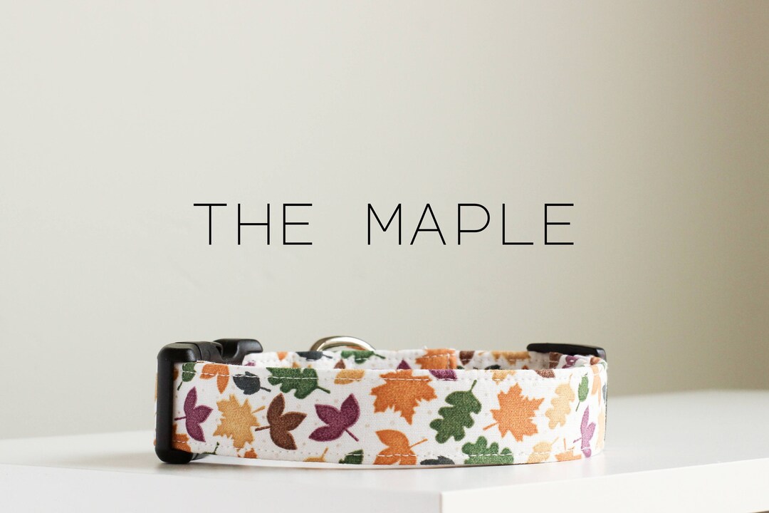 Earthy Autumn Dog Collar, Fall Leaf Dog Collar "the Maple" - Etsy