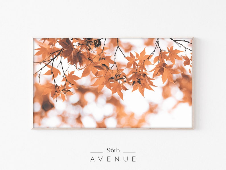 Fall Samsung Frame Tv Art Maple Leaf Autumn Frame Tv Art - Etsy