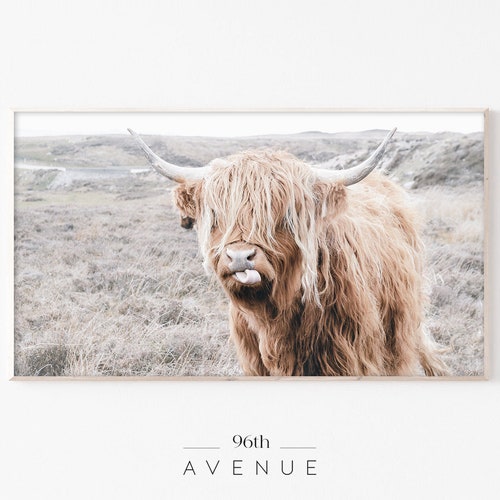 Highland Cow Wall Art Digital Wall Decor Downloadable - Etsy