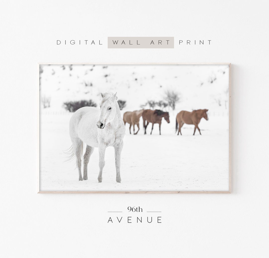 Winter Horses Wall Art | Horse Photography | Instant Download ...