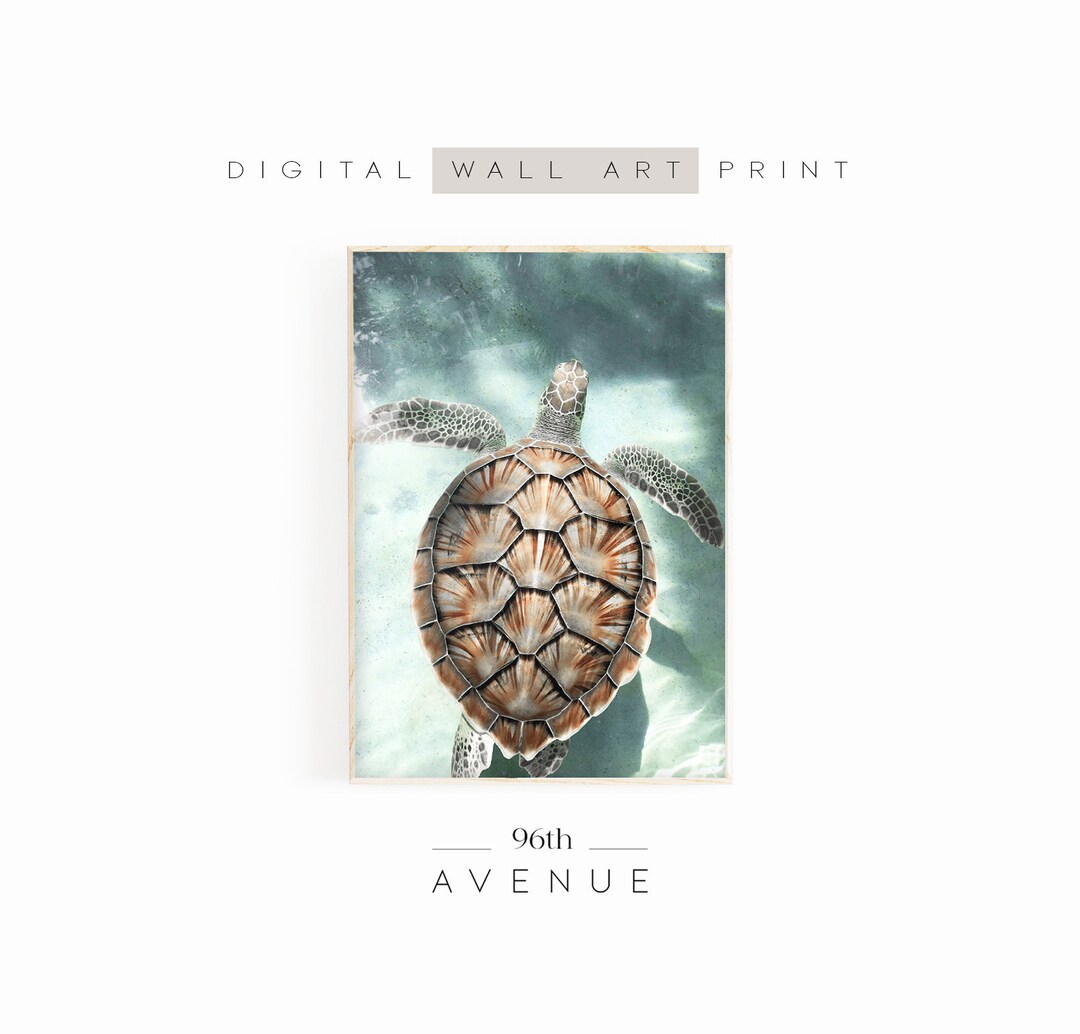 Sea Turtle Digital Print | Coastal Prints | Photography Digital ...
