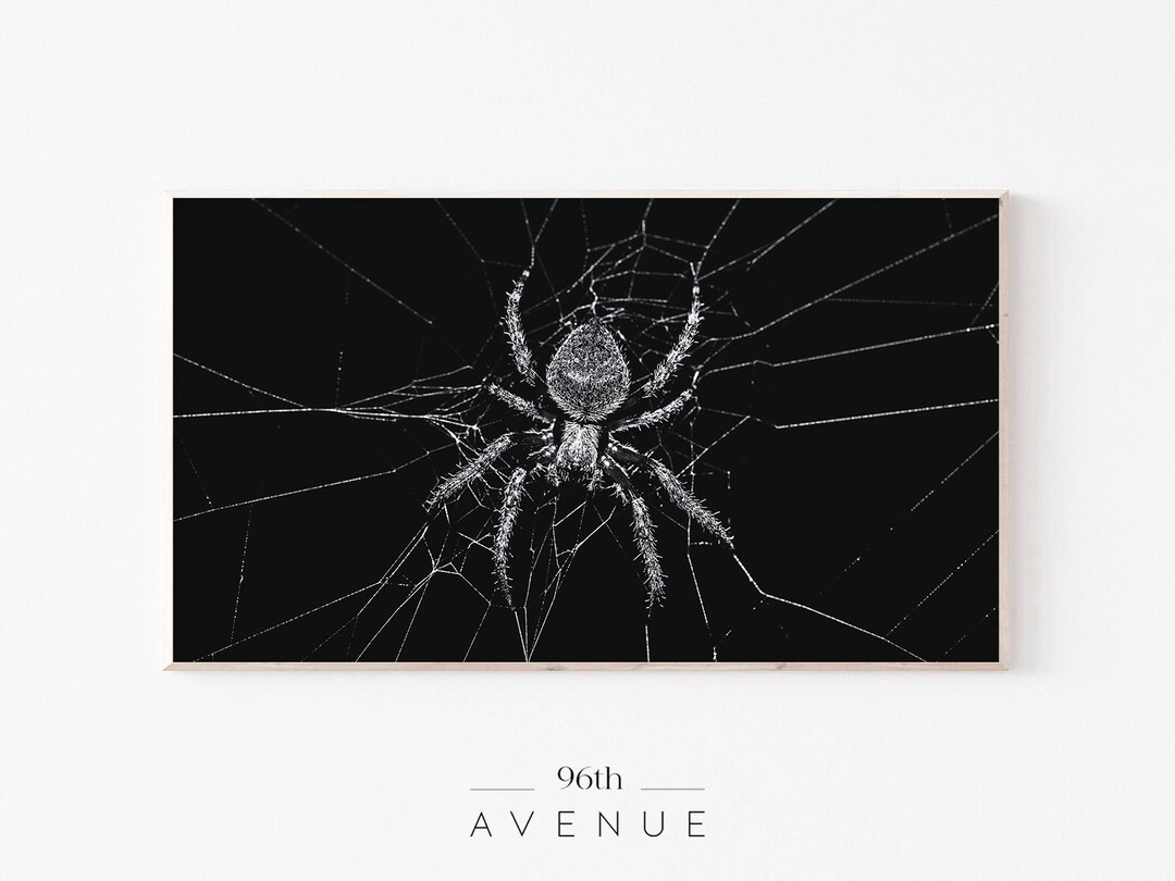 Samsung Frame TV Art | Tarantula Spider Digital Art for TV | Instant ...