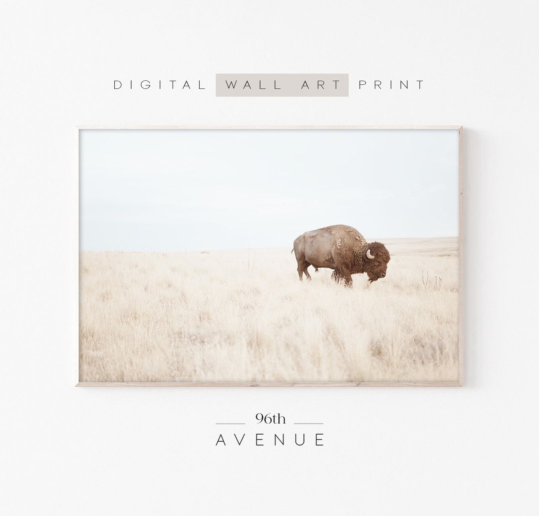 Bison Wall Art | Bison Print | Western Wall Art Decor | Printable Bison ...