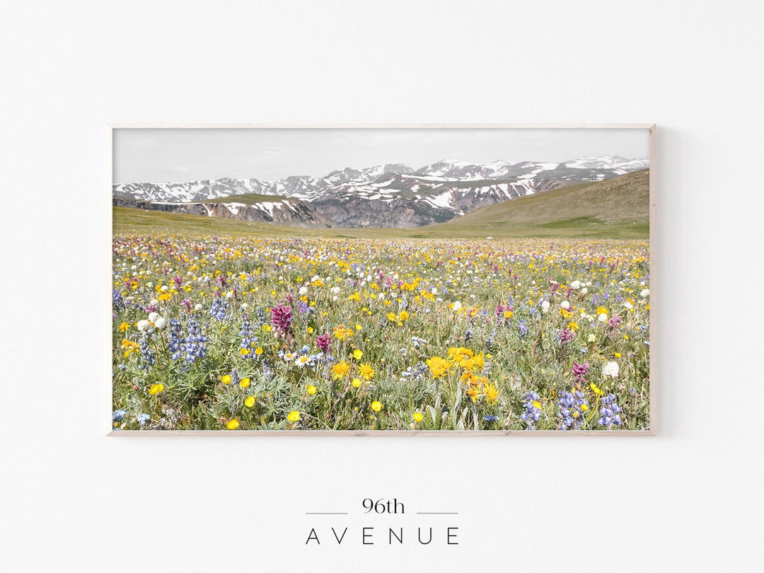 Samsung Frame Tv Art Spring | Flower Field | Frame Art Tv | Botanical ...