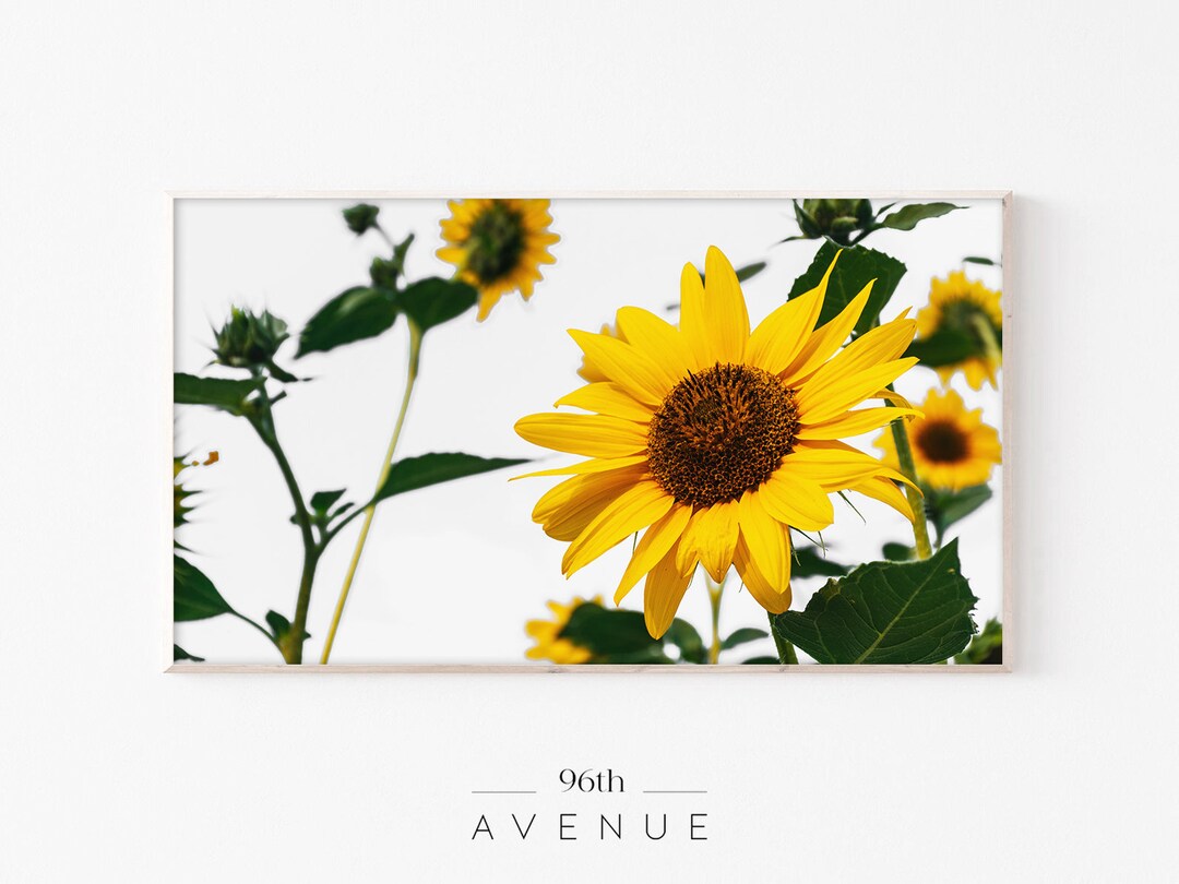 Samsung Frame TV Art | Sunflower TV Art | Farmhouse Decor | Wildflower ...