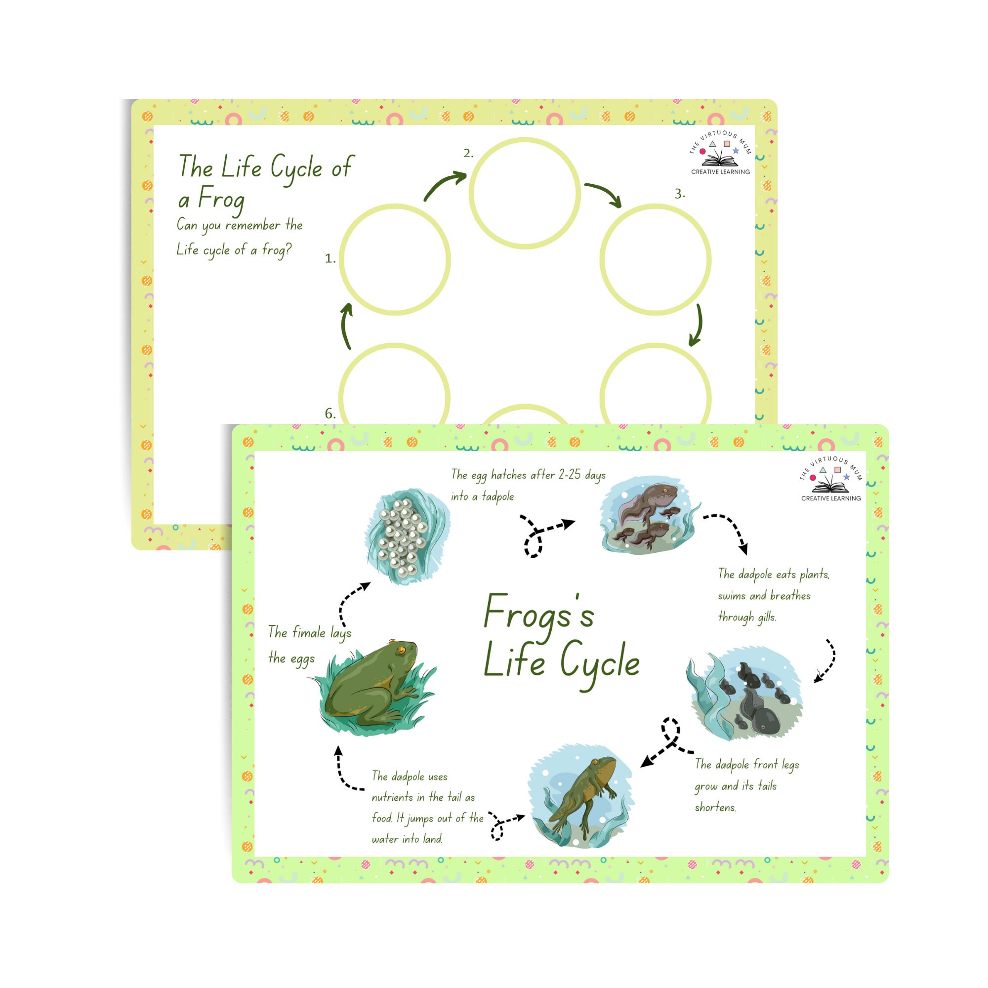 The Life Cycle of a Butterfly / FROG, Homeschool Activity Binder ...