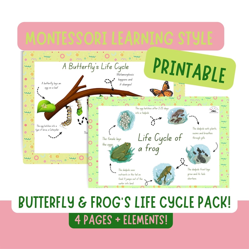 The Life Cycle of a Butterfly / FROG, Homeschool Activity Binder ...