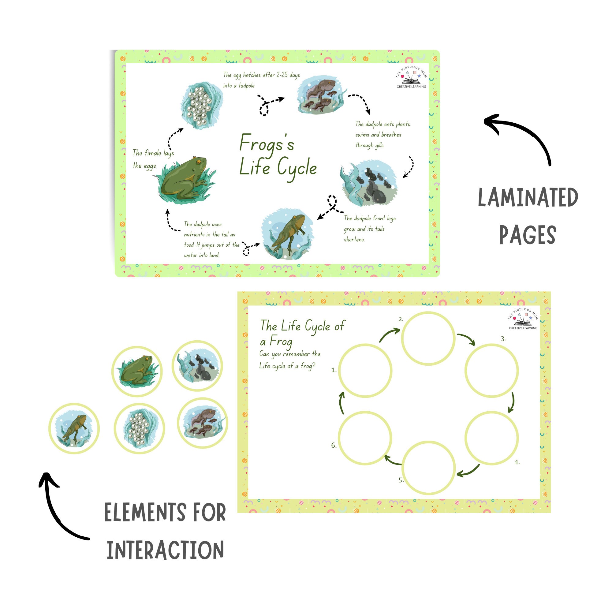 The Life Cycle of a Butterfly / FROG, Homeschool Activity Binder ...