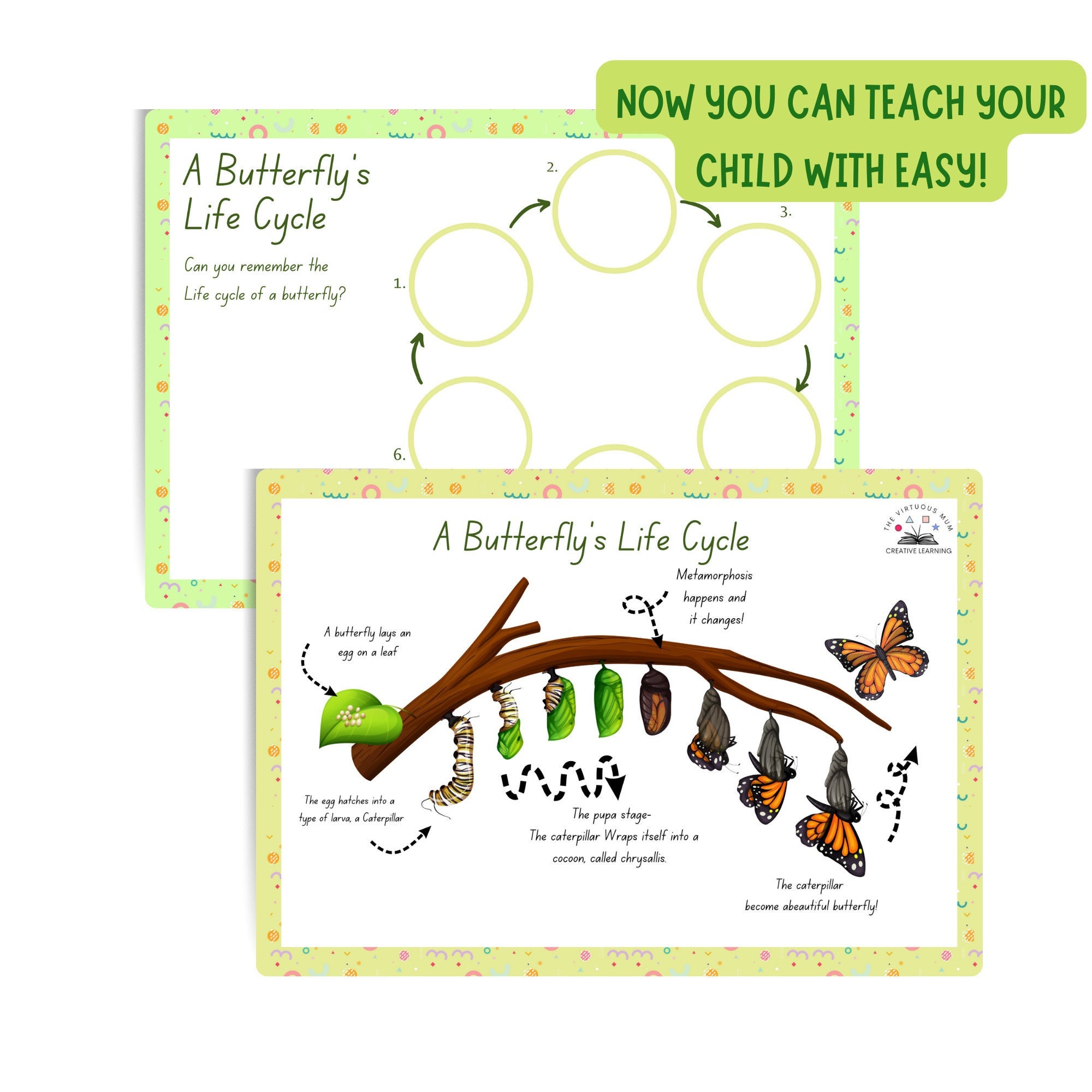 The Life Cycle of a Butterfly / FROG, Homeschool Activity Binder ...