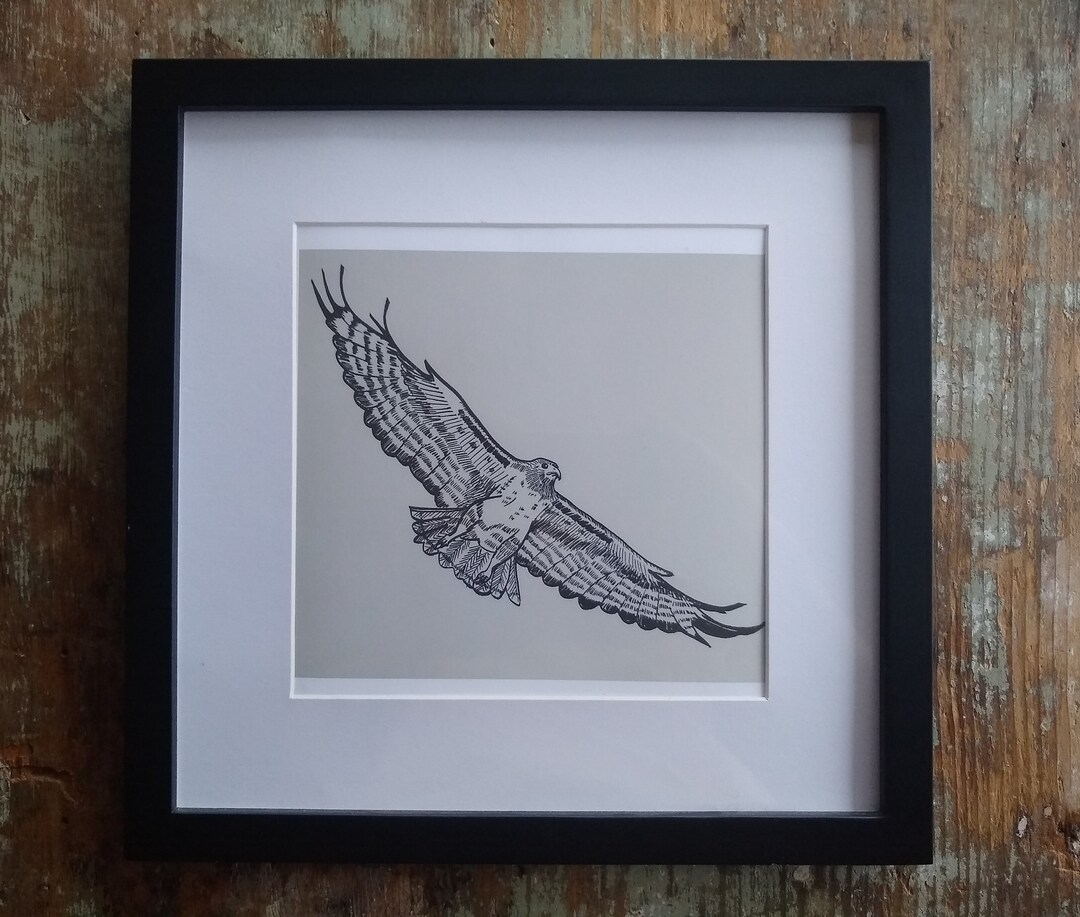 Flying Red Tailed Hawk Print, Nature Art Archival Print - Etsy