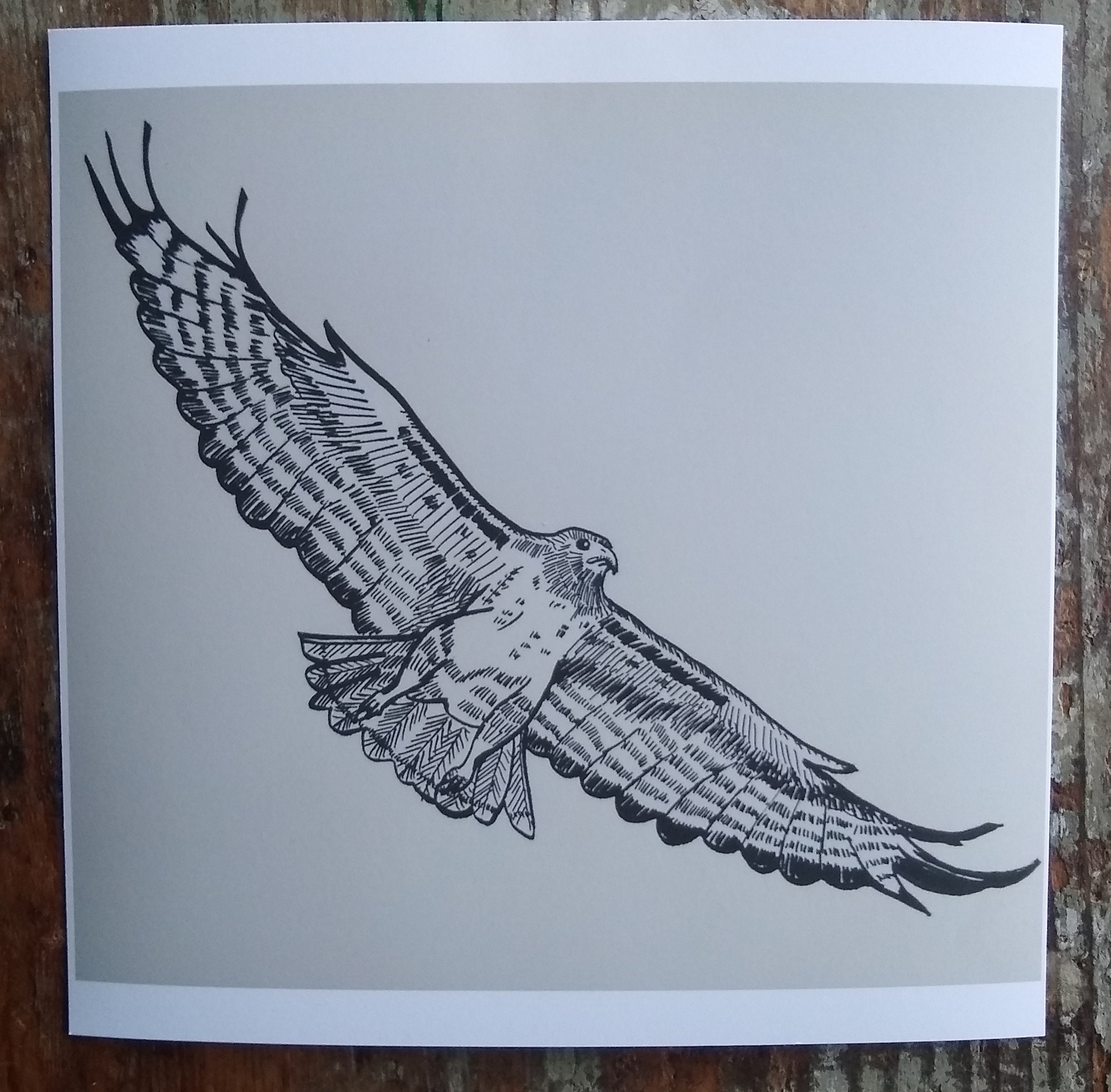 Flying Red Tailed Hawk Print, Nature Art Archival Print - Etsy
