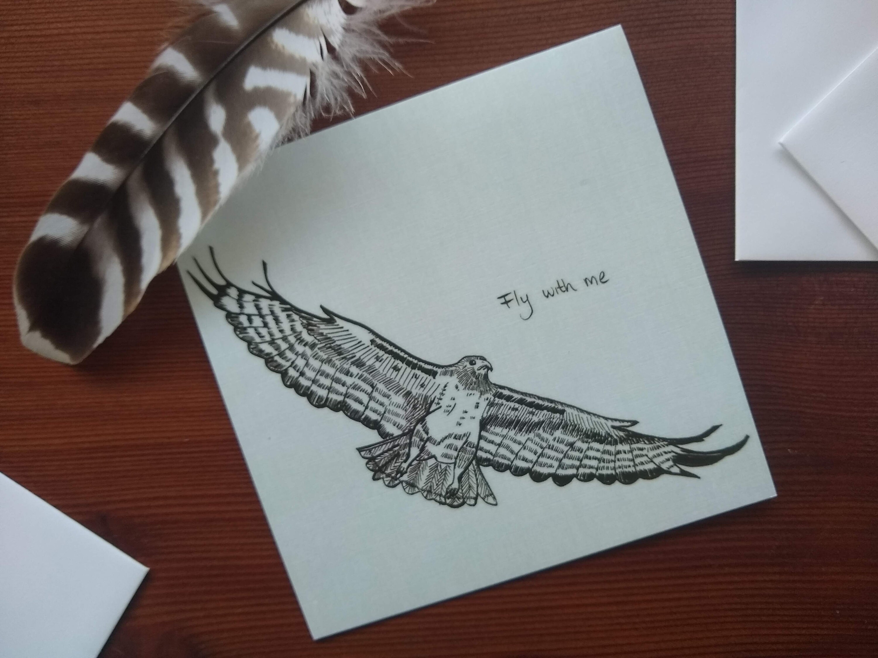 Flying Red Tailed Hawk Greeting Card Blank Inside Individual - Etsy