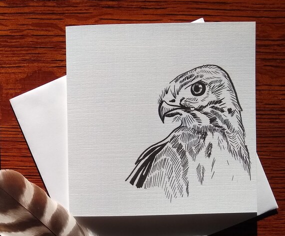Red Tailed Hawk Greeting Card Blank Inside | Etsy