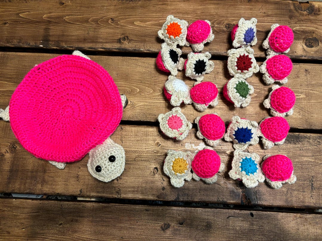 Turtle Matching Game - Etsy