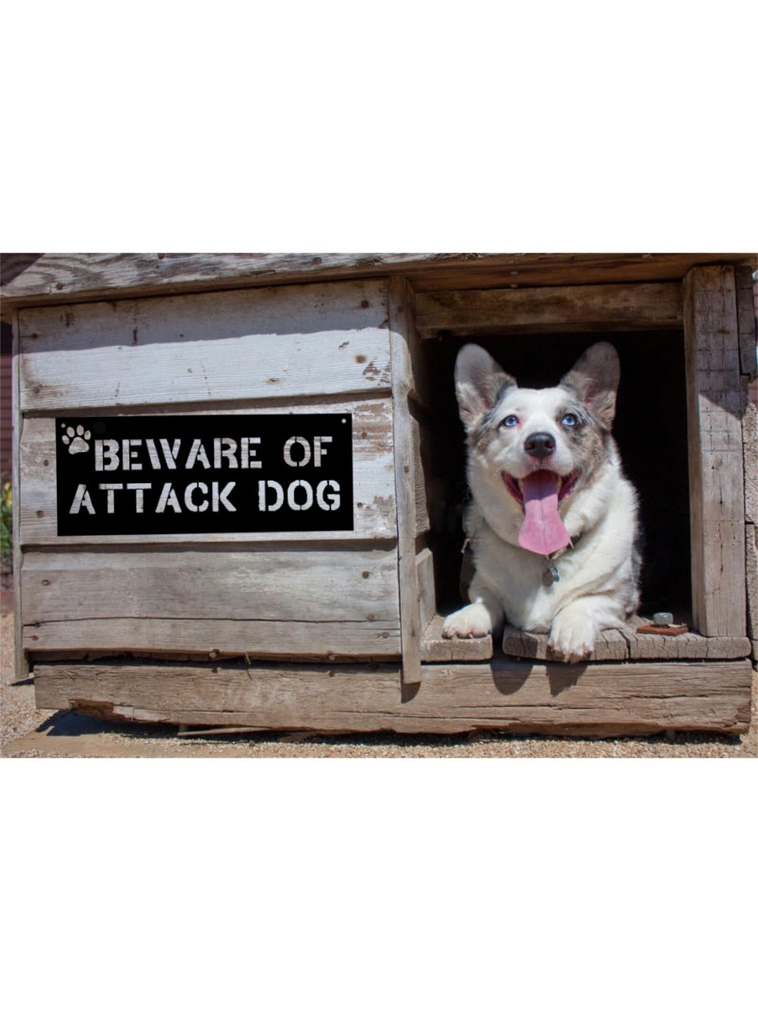 Dog Sign, Beware of Attack Dog Metal Sign, Warning Dog Sign, Security ...