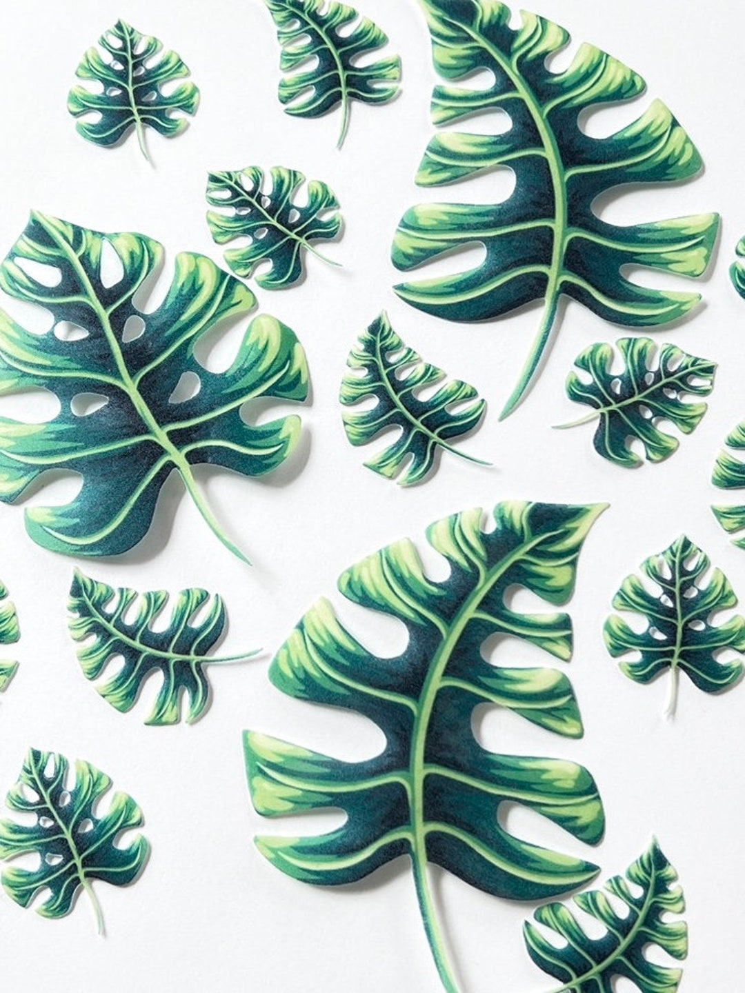 16 Pre-cut Edible Wafer Monstera Leaves Cake, Cupcake, Cookie, Drink ...