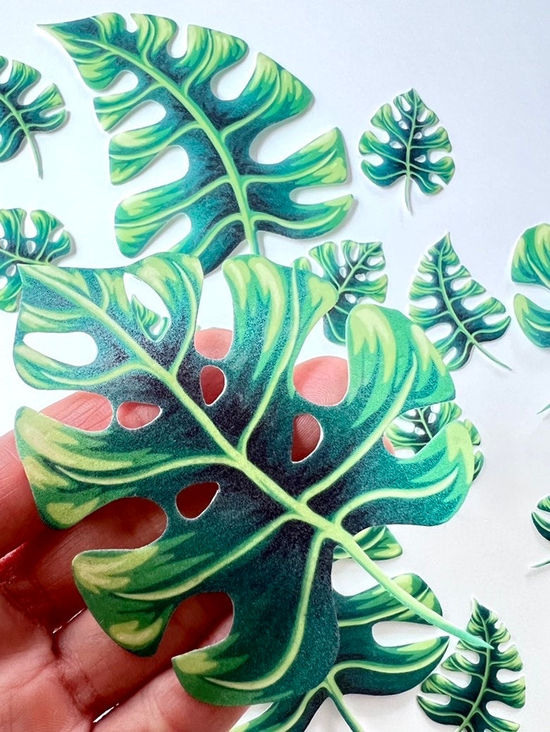16 Pre-cut Edible Wafer Monstera Leaves Cake, Cupcake, Cookie, Drink ...
