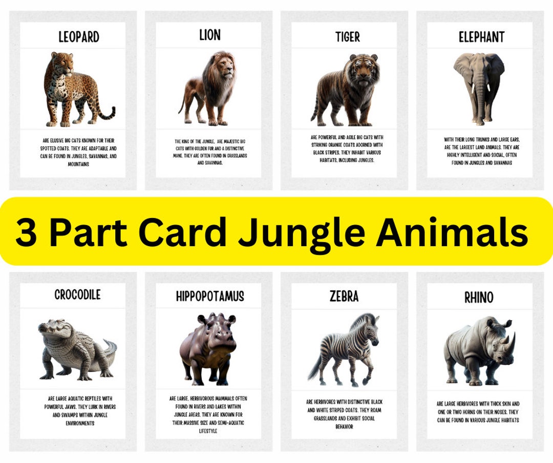 Jungle Animals Flash Cards Toys Home Schooling 3 Part Cards Montessori ...