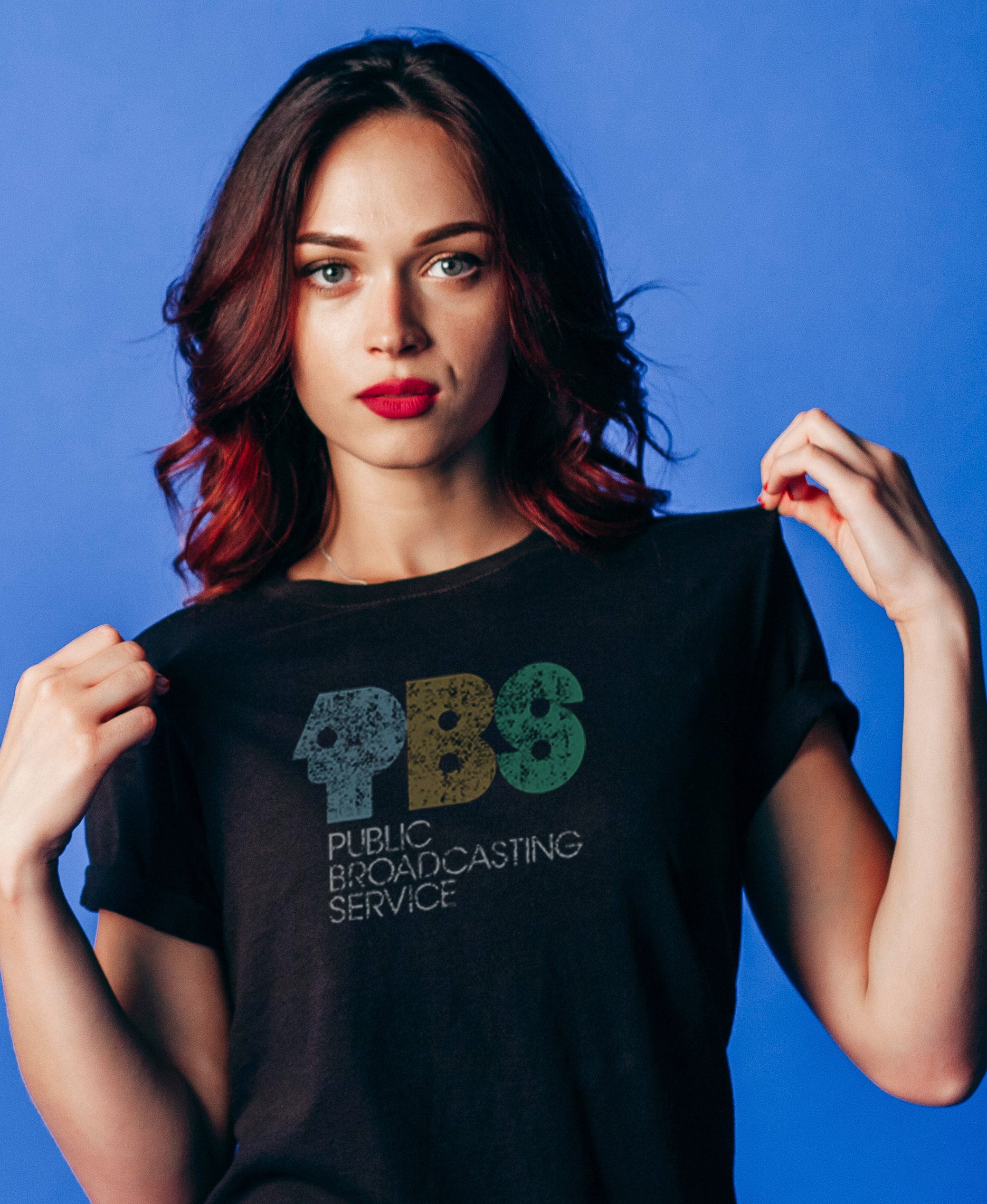 PBS T-shirt Public Broadcasting Service Color Version Vintage and Fun ...