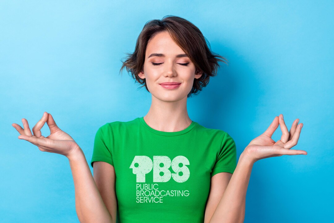 Retro PBS T-shirt, Unisex, Vintage TV Tee - Etsy