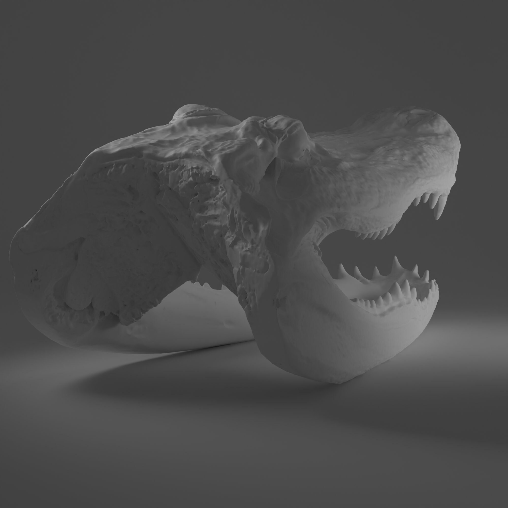 3d-printable Model of an Alligator Head - Etsy