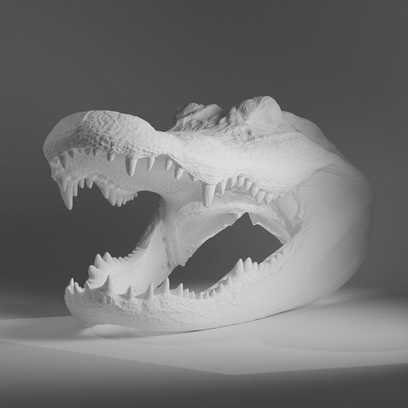 Skull 3d Print Molds Stl - Etsy UK